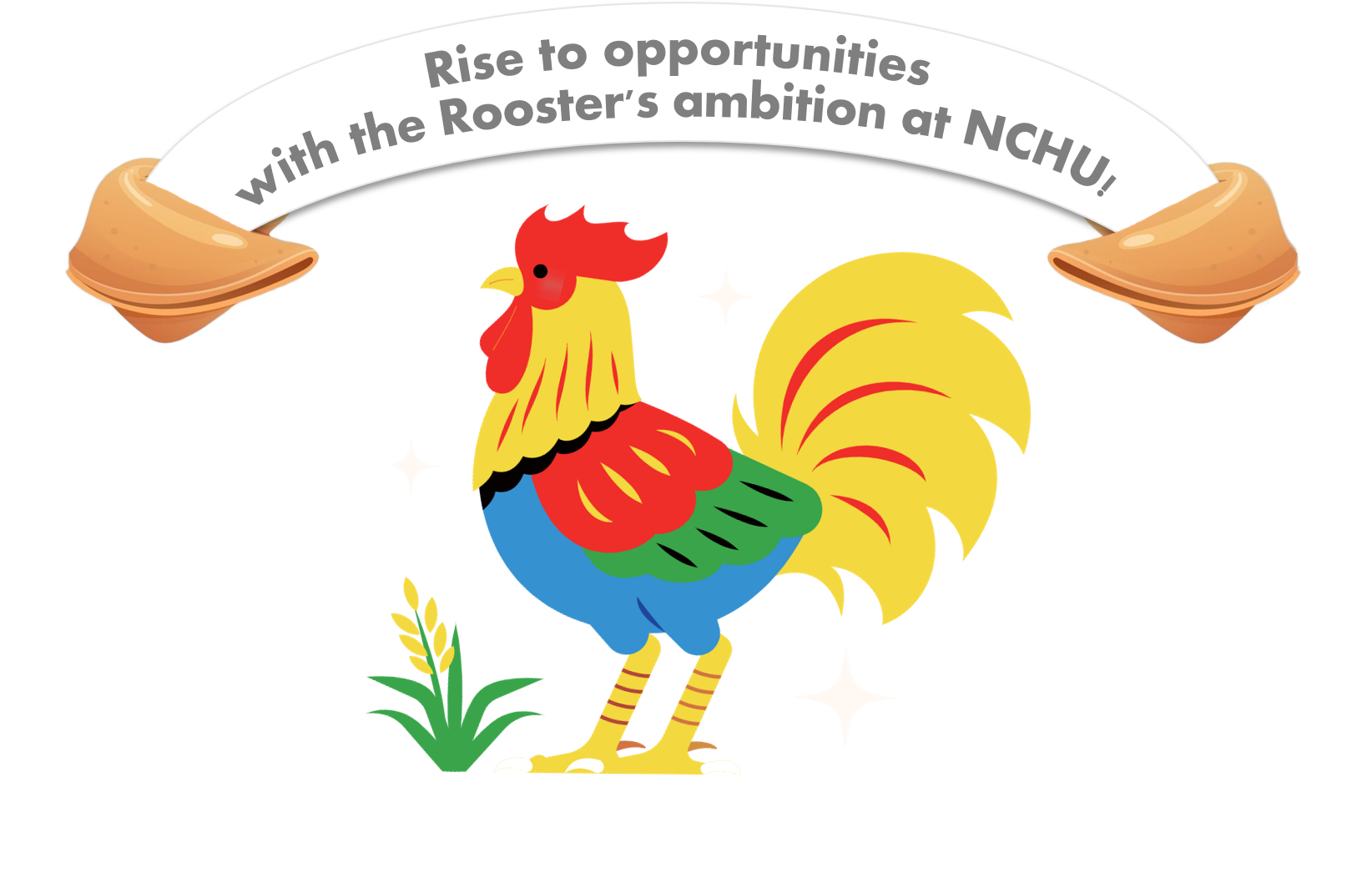 Rooster – NCHU – Overseas student admission